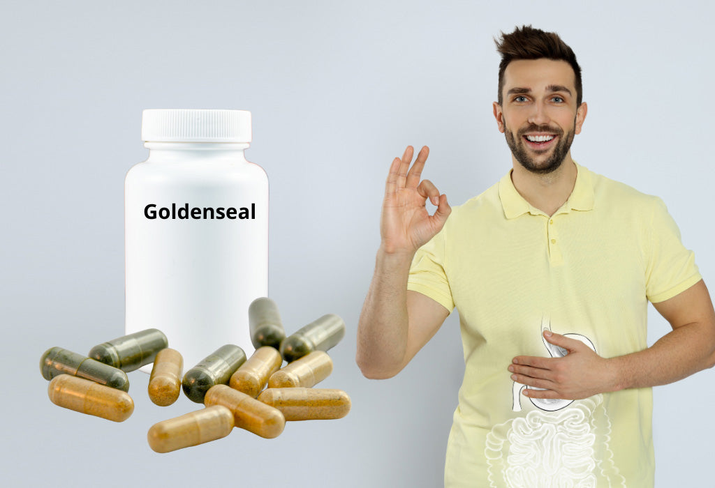 What Are Benefits of Goldenseal Root for Digestive Health? – Vinatura ...