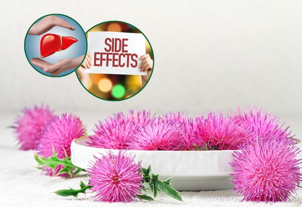 10+ Benefits of Milk Thistle: Side Effects & Other FAQs – Vinatura ...