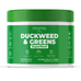 Duckweed Powder and Greens Superfood powder - High-quality Complete ...