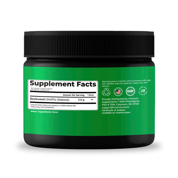Duckweed Powder - Wolffia Globosa Supperfood, High-quality Protein ...