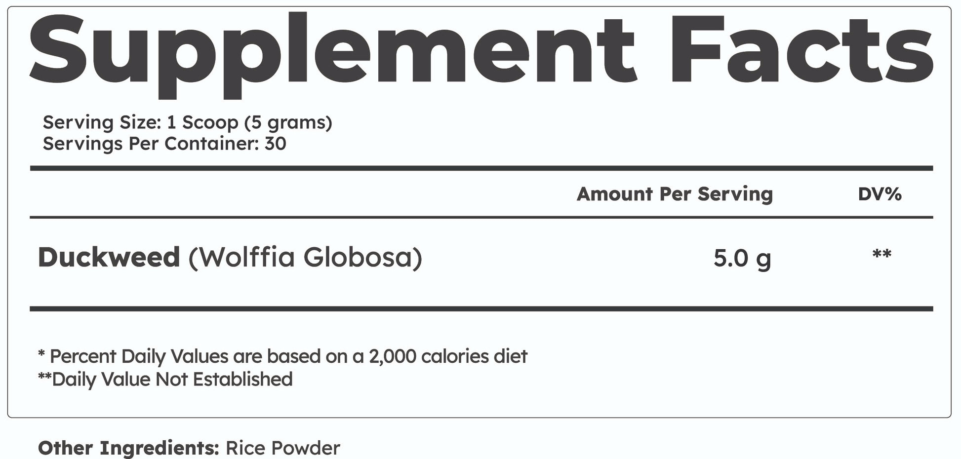 Duckweed Powder - Wolffia Globosa Supperfood, High-quality Protein ... Duckweed Powder - Wolffia Globosa Supperfood, High-quality Protein ...