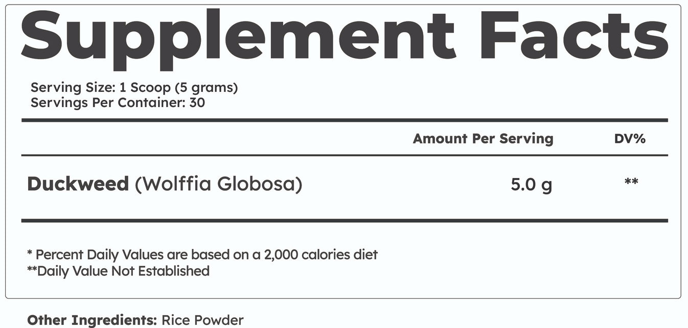 Duckweed Powder - Wolffia Globosa Supperfood, High-quality Protein ...