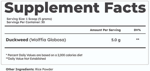 Duckweed Powder - Wolffia Globosa Supperfood, High-quality Protein ...