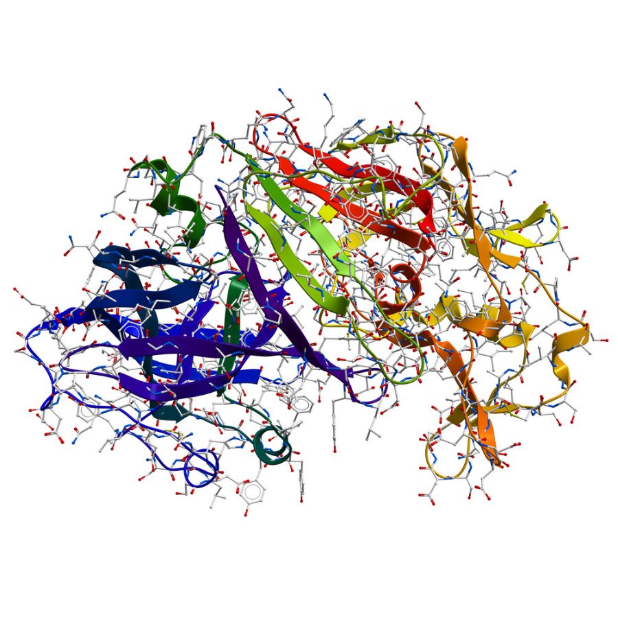 Lumbrokinase & Nattokinase, Serrapeptase – Vinatura Supplements