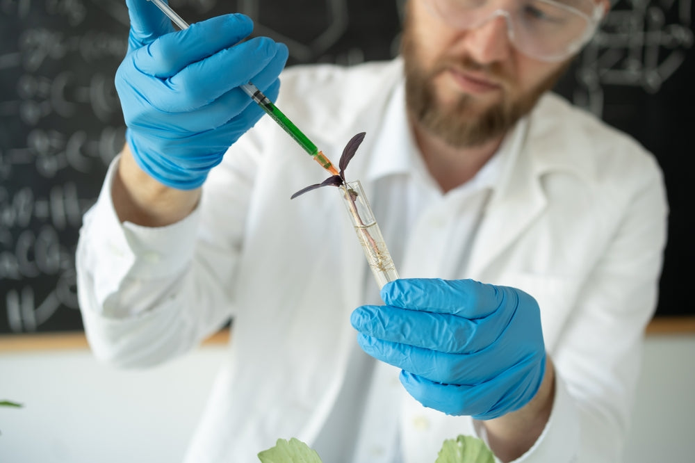 EDTA (Calcium Disodium) with Zeolite Detox 98% - 1500mg