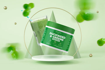 Duckweed Powder and Greens Superfood powder - High-quality Complete ...